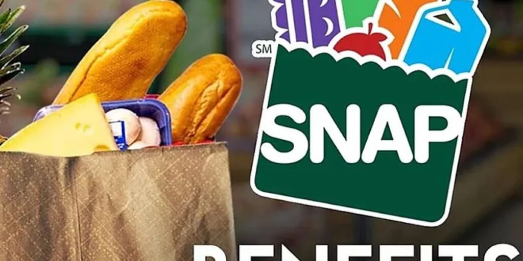 SNAP Alert: Florida Recipients Getting Benefits in the Week of June 15 ...