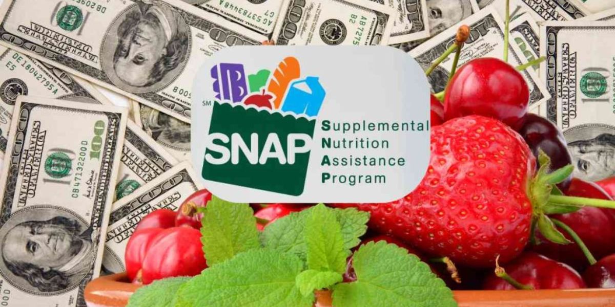 SNAP Benefits Rolling Out June 22–30: Are You in the States Still ...