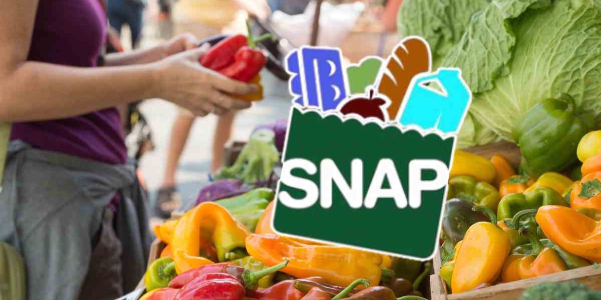 SNAP Payment Changes Hit in June— Are You on the List to Lose Benefits ...
