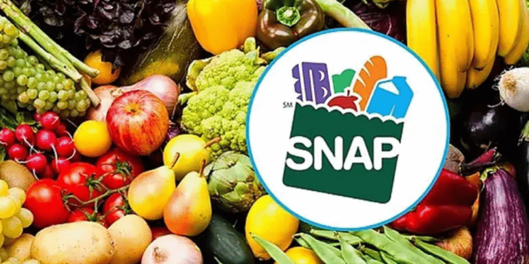 SNAP Florida Recertification July 2025: Know Your Deadline to Renew ...