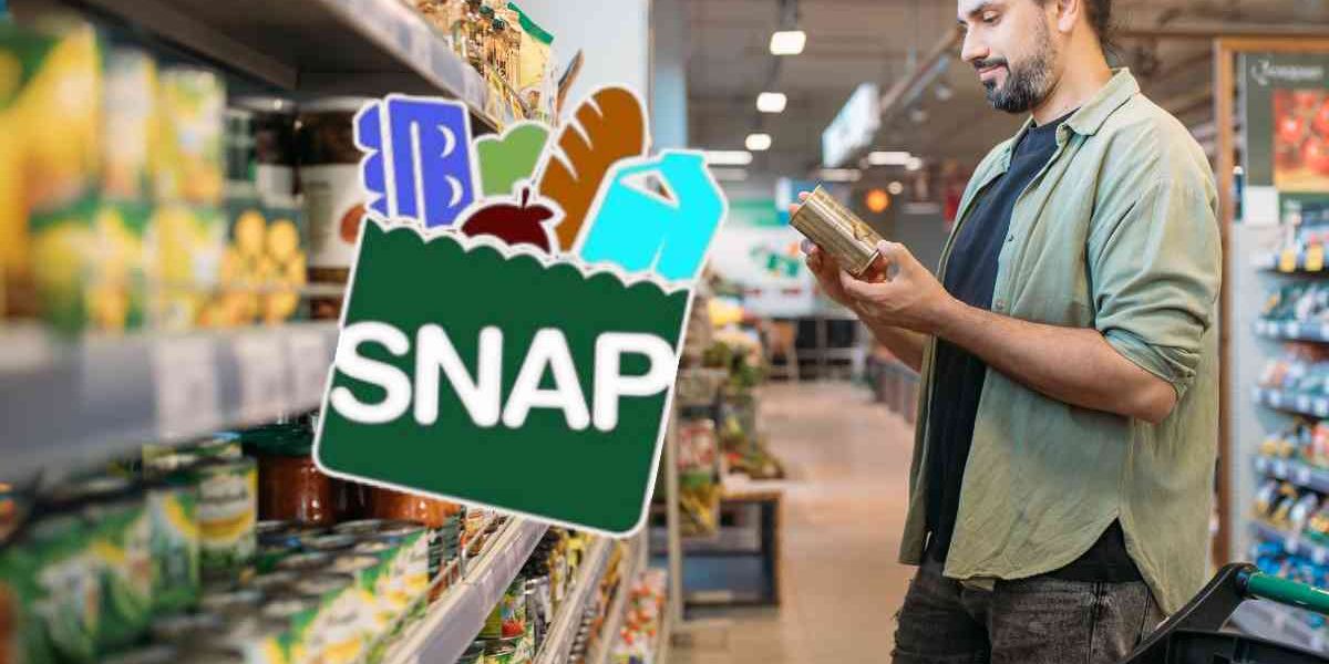 Your Florida SNAP July Payment May Already Be on the Way—Here’s When to ...